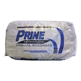 Tetraploid Annual Ryegrass Seed | Ragan & Massey